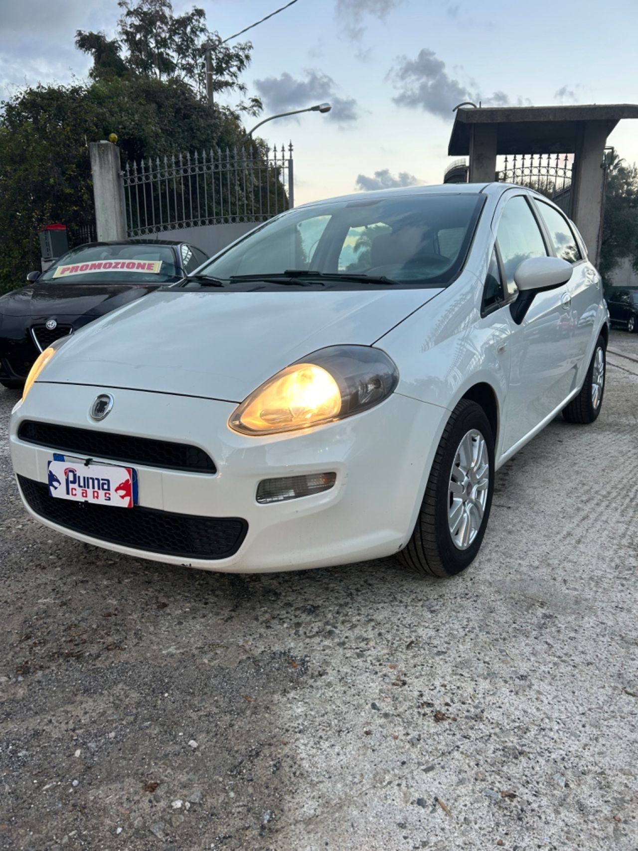 Fiat Punto Evo Punto Evo 1.3 Mjt 75 CV DPF 5 porte S&S Dynamic 235.000 ...