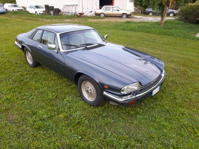 JAGUAR XJS XJS 5300 v 12 STUPENDA ASI